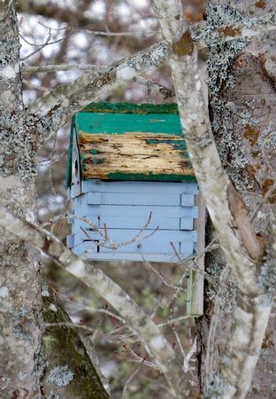 Bird house | HS Blog
