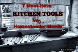 7 Must-Have Kitchen Tools Every Homesteader Needs | HS Blog