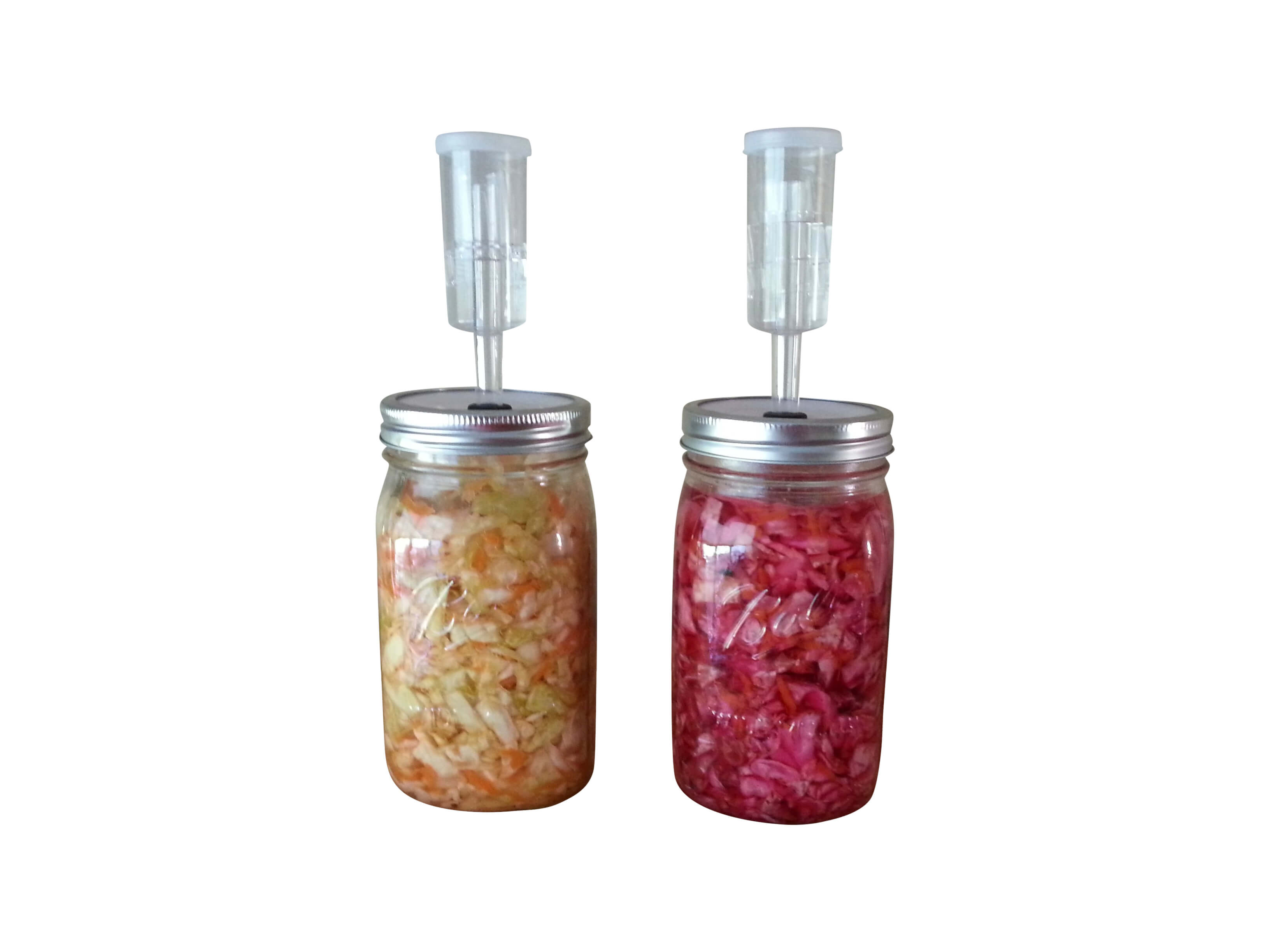 Fermenting Starter Culture [FC] - $15.50 | Homesteader's Supply