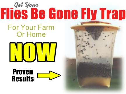 Flies Be Gone! Natural Fly Trap Flies Be Gone [80-260] - $24.50 ...